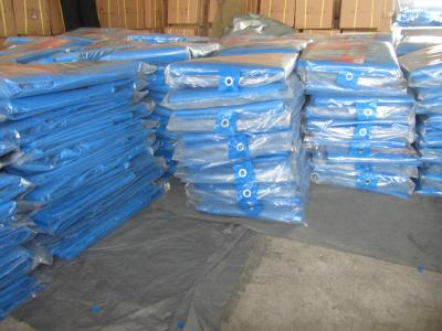 China tensile fabric roof with pe tarpaulin for sale