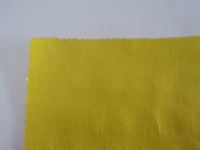 China 10*10mesh 180g heavy duty hdpe tarpaulin for sale