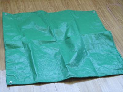 China green colour pe tarpaulin,plastic canvas for sale