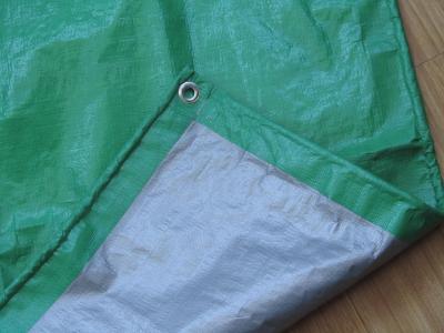China 200gsm silver/green canvas tarpaulin for sale