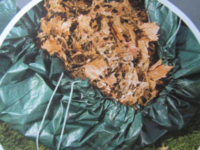 China leaf tarp in garden for sale