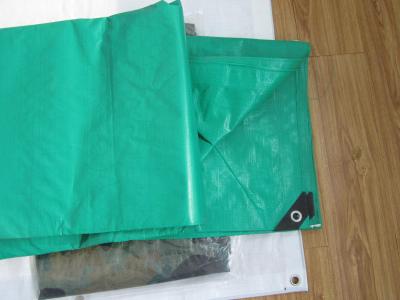China TARP TARPAULIN 3.0M X 3.5M (10' x 12') GREEN WATERPROOF for sale
