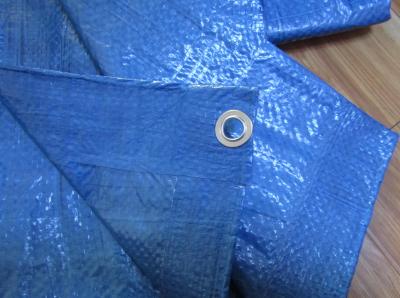China 15 X 30 FEET TARPAULIN/TARP BLUE WATERPROOF COVER/GROUND SHEET for sale