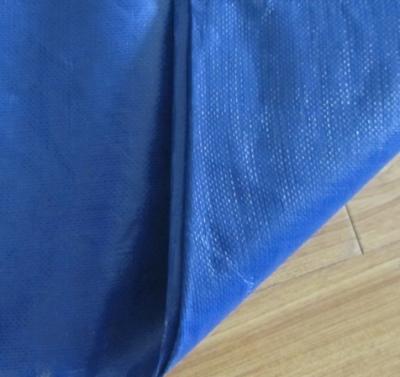 China 170gsm pe laminated fabirc blue/black color for sale