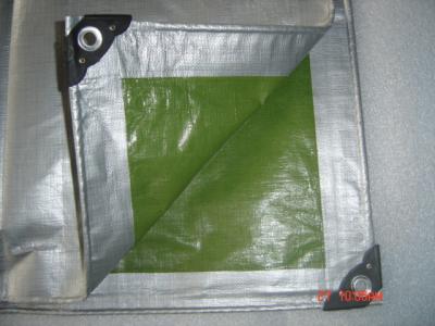 China all purpose weather resistant pe tarpaulin for sale