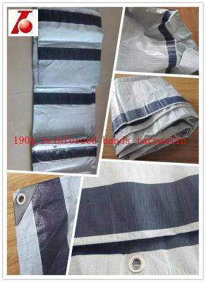China finished PE tarpaulin sheet,white color tarpaulin of 190gsm with blue color stripes for sale