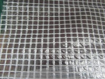China 3x3 mesh clear poly tarp used for packing and roofing cover for sale