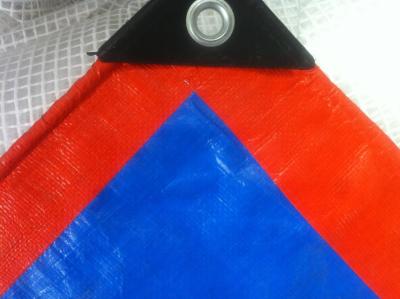 China awning 4x6m reinforced PE tarpaulin with grommets reinforced at the corners for sale