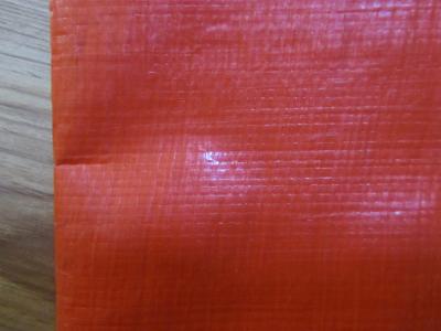 China Eco-friendly pe tarpaulin ground sheet plastic sheet for sale