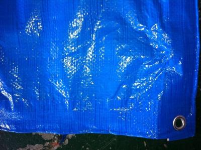 China sun shade and camping purpose, reinforced PE tarpaulin plastic sheet poly tarps for sale