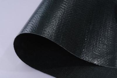 China PE Tarpaulin use for curtain sheds and henhouse cover for sale