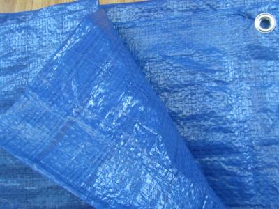 China 63GSM blue colour Pe tarpaulin 1.8x3.4m for sale