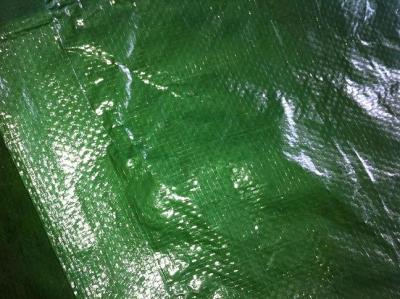 China 130gsm Green color/UV treatment  PE Tarpaulin poly tarp for sale
