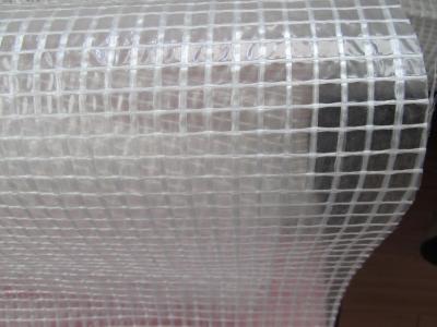 China 150gsm 3*3 mesh clear poly tarp PE tarpaulin for sale