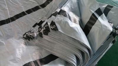 China 170gsm with reinforced 6 bands  PE tarpaulin sheet  for temporary shelter for sale