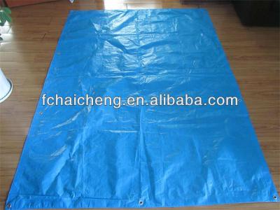 China pe tarpaulin with rope and eyelet,various of colors plastic sheets for sale