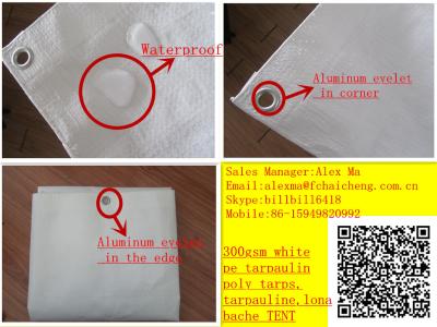 China 300gsm uv treatment white heavy duty pe tarpaulins for sale