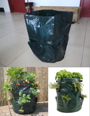 China Reusable Herb Potato Strawberry Planting Planter Bags for sale