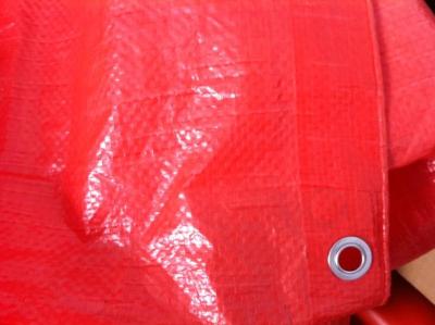China 50gsm - 400gsm High tear resistant waterproof plastic tarpaulin,PE Tarpaulin,poly tarp for sale