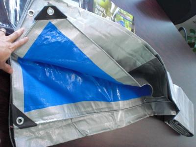 China 160gsm blue color plastic tarpaulins with matel eyelets reinforced corners for sale