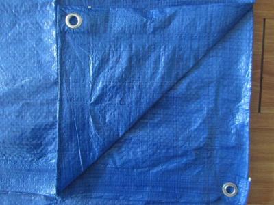 China 50gsm Saudi arabia tarpaulin ,50gsm pe tarpaulin for sale