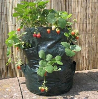 China China wholesale any size waterproof polyethylene bags used for garden for sale