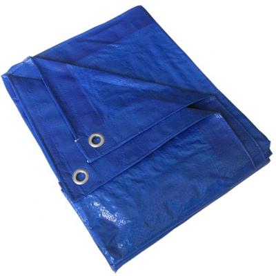 China different weight thickness p.e.tarpaulin sheet and roll for sale