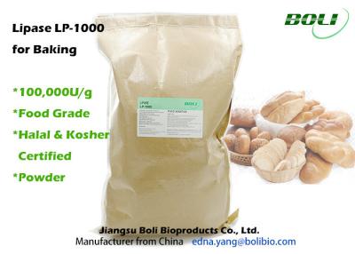 China Lipase LP-1000 Baking Enzymes Hydrolysis Powder for sale