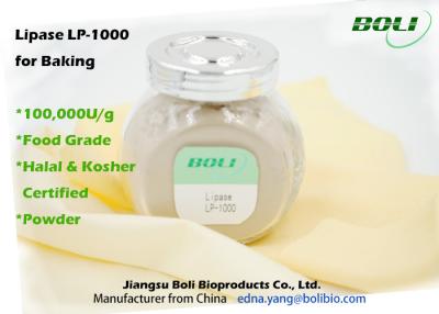China Food Grade Lipase LP-1000 Powder 100000 U/g 8% Moisture for Bakery Flour Improver for sale