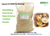 China Food Grade Lipase Enzyme For Baking , Robust Activity Bread Enzymes Stable Activity for sale