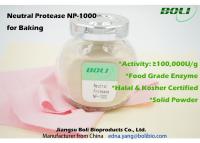 China Food Grade Neutral Protease Powder 100000 U/g Non-GMO for Bakery Dough Conditioning for sale