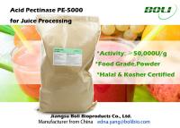 China Food Grade Acid Pectinase PE-5000 50000 U/g Industrial Juice Clarifying Enzyme for sale