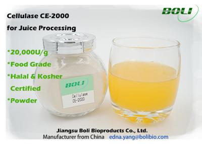 China Food Grade Cellulase CE-2000 20000 U/g Powder for Juice Processing Halal Kosher for sale