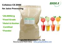 China Commercial Trichoderma Reesei Cellulase  , High Purity Fungal Cellulases High Activity for sale