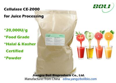 China Commercial Trichoderma Reesei Cellulase  , High Purity Fungal Cellulases High Activity for sale