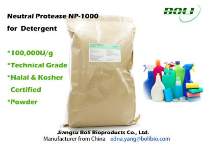 China Technical Grade Powder Proteolytic Enzymes Neutral Protease NP - 1000 For Detergent for sale