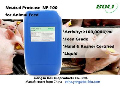 China High Enzyme Activity  Proteolytic Enzymes Neutral Protease High Concentration for sale