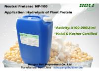 China Neutral Protease NP-100 100000 U/ml for Plant Protein Hydrolysis Industrial Enzyme for sale