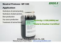 China Liquid Bacillus Licheniformis Protease , Bacillus Subtilis Protease 100000 U / ml for sale