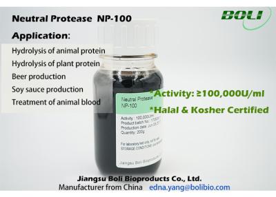 China Liquid Bacillus Licheniformis Protease , Bacillus Subtilis Protease 100000 U / ml for sale