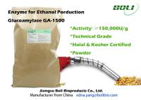 China Technical Grade Glucoamylase Enzyme GA-1500 150000 U/g Powder for Ethanol Production for sale
