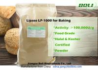 China Light Yellow Powder Bakery / Lipase Enzyme Moisture 8% Superior Stability for sale