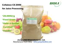 China Food Grade Cellulase Enzyme Powder 20000 U/g for Juice Production CE-2000 for sale