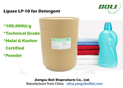 China Lipase LP-10 100000 U/g Powder for Detergent Industrial Enzyme Light Brown for sale