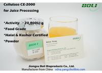 China 20000 U / g Cellulolytic Enzymes , High Activity Juice Enzymes High Concentration for sale