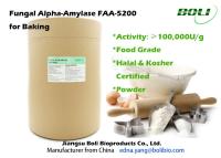 China Fungal Alpha-Amylase FAA-5200 100000 U/g Food Grade Baking Enzyme Yellow Powder for sale
