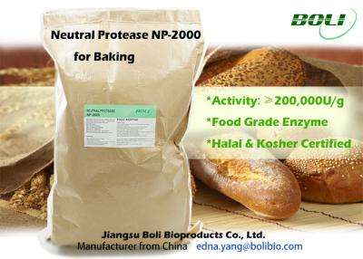 China Non - GMO High Concentration Baking Enzymes Powder Halal And Kosher Certified for sale
