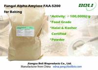 China Non-GMO Fungal Alpha Amylase Powder 100000 U/g for Baking Industry Bread Improver for sale