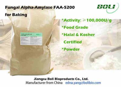 China Non-GMO Fungal Alpha Amylase Powder 100000 U/g for Baking Industry Bread Improver for sale