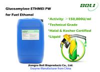 China High - Purity Liquid Amyloglucosidase Enzyme For Fuel Ethanol Industry for sale